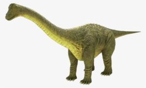 Brontosaurus Apatosaurus 3d Model - Brontosaurus - Free Transparent PNG ...