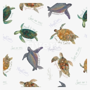 Hawksbill Sea Turtle Illustration - Hawksbill Sea Turtle - Free ...