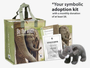 Elephant Adoption Kit - Wwf Elephant Adoption Certificate - Free ...