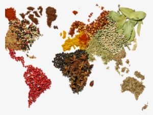 Easily Traceable World Map - Free Transparent PNG Download - PNGkey