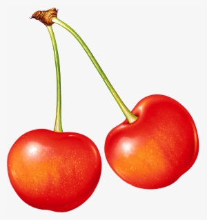 Cherry Png Image Without Background - Fruits Name - Free Transparent ...