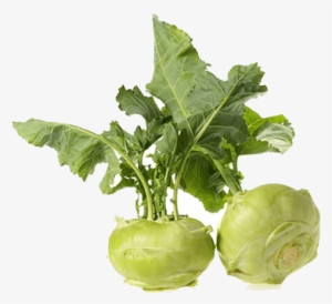 Nokol Vegetable In English - Free Transparent PNG Download - PNGkey