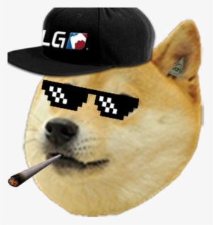 Mlg PNG, Transparent Mlg PNG Image Free Download - PNGkey