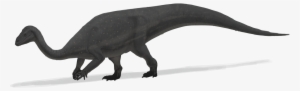 Mussaurus Patagonicus Was An Early Sauropodomorph Dinosaur - Mussaurus ...