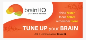 Posit Science - Free Transparent PNG Download - PNGkey