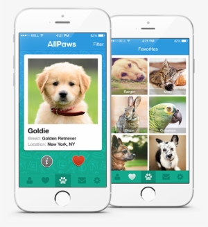 All Paws App - Free Transparent PNG Download - PNGkey