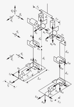 The Multi-body Model And Link Frames Of The Bipedal - Humanoid Robot ...