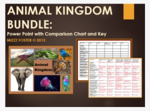 Animal Kingdom Bundle - Microsoft Powerpoint - Free Transparent PNG ...