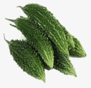 Bitter Gourd Png Transparent - Free Transparent PNG Download - PNGkey