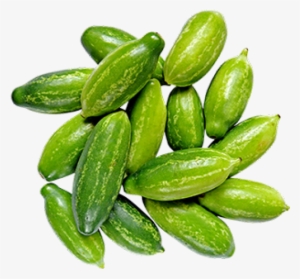 Kovakkai Benefits - Free Transparent PNG Download - PNGkey