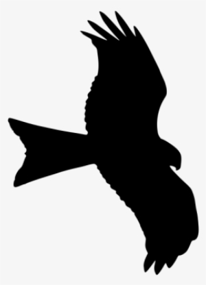 Silhouette - Buzzard Silhouette - Free Transparent PNG Download - PNGkey