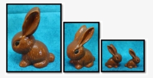 China Rabbits Breed Success - Rabbit - Free Transparent PNG Download ...