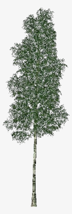 3d Trees - Elm - Software - Free Transparent PNG Download - PNGkey
