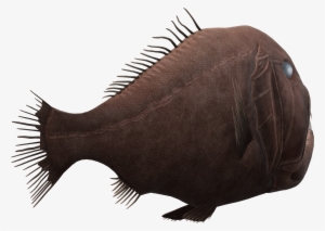 Free Stock Photo Of Sea, Fish, Maritime - Halibut - Free Transparent ...