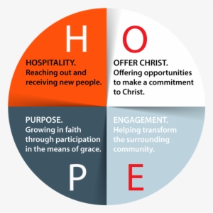 Project Hope Chart - Church Discipleship Process - Free Transparent PNG ...