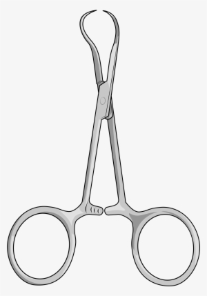 Open - Hopfner Forceps - Free Transparent PNG Download - PNGkey