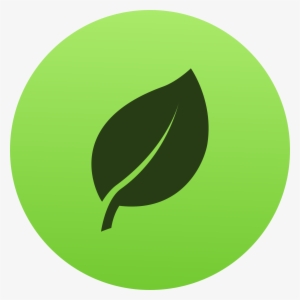 Mongodb Logo White Png - Free Transparent PNG Download - PNGkey