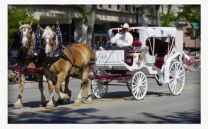 Have A Galloping Good Time At Your Next Event Add Carriage - Duncan ...