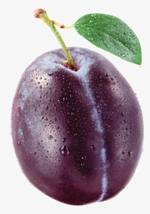 Plums - Single Plum - Free Transparent PNG Download - PNGkey