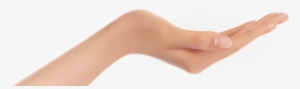 Portfolio - Transparent Open Hand Png - Free Transparent PNG Download ...