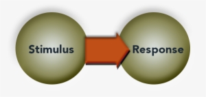 Stimulus Response “ - Stimulus–response Model - Free Transparent PNG ...