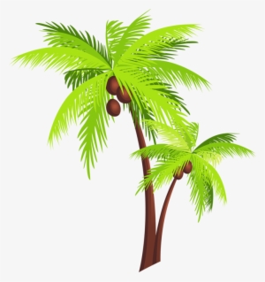 Coconut Tree 3d Model - Free Transparent PNG Download - PNGkey