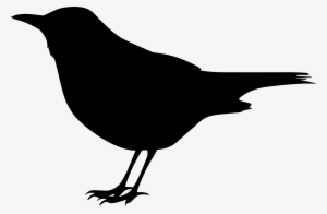 Black Bird PNG, Transparent Black Bird PNG Image Free Download - PNGkey
