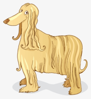 Grooming Your Dog - Levriero Afgano - Free Transparent PNG Download ...