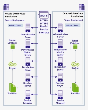 Oracle Goldengate Microservices - Diagram - Free Transparent PNG ...