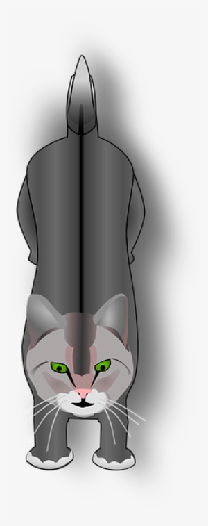 Cat Top View Png - Free Transparent PNG Download - PNGkey