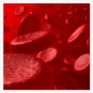 Rbc Lysis - Free Transparent PNG Download - PNGkey
