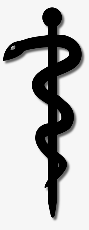 Aesculap Snake - Free Transparent PNG Download - PNGkey