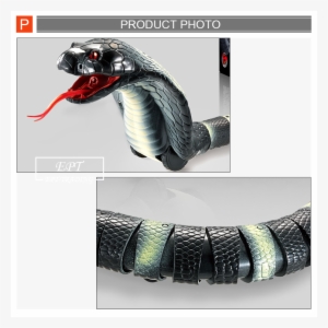 New Funny R/c Plastic Animal Snake Set Toy With Battery - Snakes - Free ...