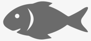 See More - Fish - Free Transparent PNG Download - PNGkey