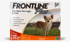 Frontline Plus For Small Dogs Up To 22lbs - Frontline Plus For Dogs ...