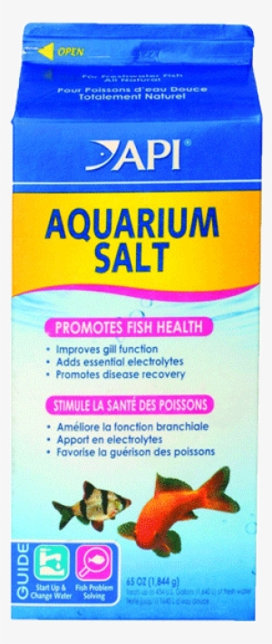 Api Services Branding Guidelines - Youtube Logo - Free Transparent PNG ...