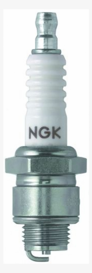 Ngk Spark Plugs Logo Vector - Free Transparent PNG Download - PNGkey