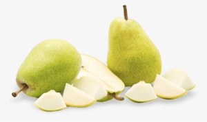 Asian Pear Png - Free Transparent PNG Download - PNGkey
