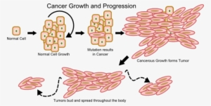 Cancer Cell Png - Cancer Cell No Background - Free Transparent PNG ...