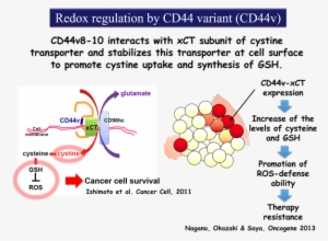 Cancer Cell Png - Cancer Cell No Background - Free Transparent PNG ...