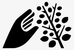 Picking - Picking Fruit Icon - Free Transparent PNG Download - PNGkey