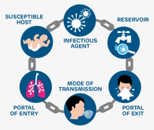 28 Collection Of Chain Of Infection Drawing - Chain Of Infections ...