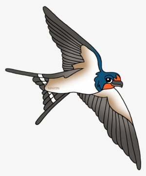 Barn Swallow Png Hd - Clipart Of A Swallow - Free Transparent PNG ...