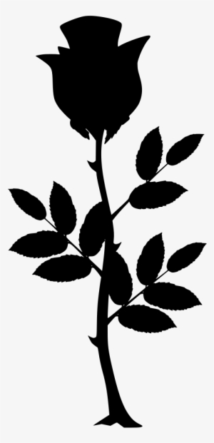 Tree Series Berry Bush Rose - Bellingham Wines Tree Series Berry Bush ...