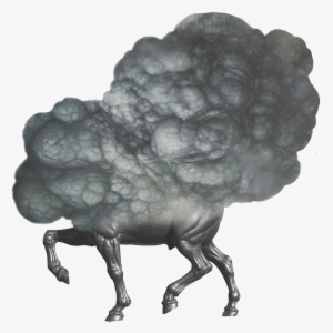 Exploding Horse Transparent - Horse - Free Transparent PNG Download ...