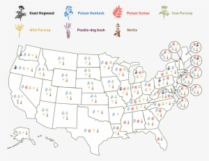 Hazardous Plant Map Sidebar - Underground Facilities - Free Transparent ...