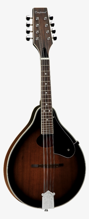Mandolin Twmosvsg - Rogue Mandolin - Free Transparent PNG Download - PNGkey