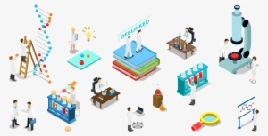 Myth And Misconceptions Infographic - Infographic - Free Transparent ...