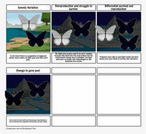 Natural S - Storyboard - Free Transparent PNG Download - PNGkey