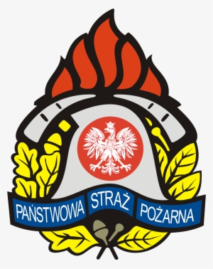 State Disaster Response And Fire Services Department - Telangana Fire ...